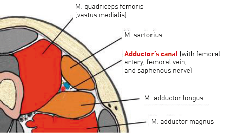 Gaehwiler_Grafik 1 – SEMS-journal